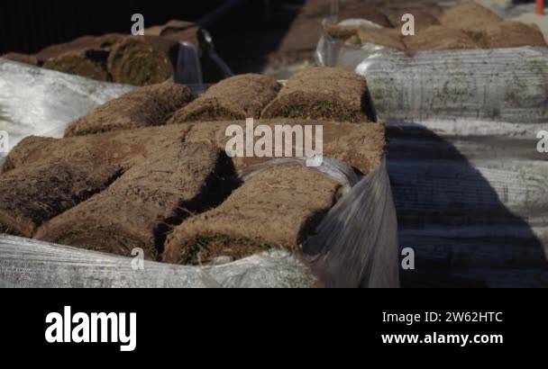 Rolls of living lawn with soil. Stacked in a neat stack and ready to be ...