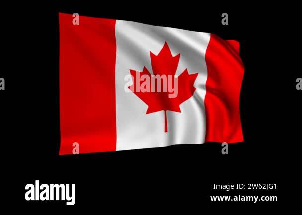 The flag of Canada animation, Canadian 3D waving flag on black screen ...