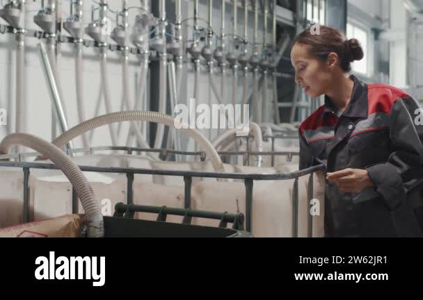 Medium side-view slow-motion footage of female factory worker standing ...