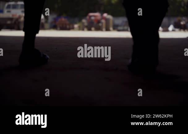 African bard Stock Videos & Footage - HD and 4K Video Clips - Alamy