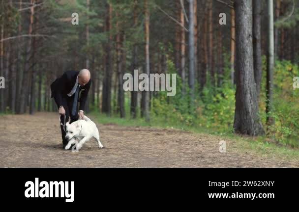 Bald man in a business suit holds the dog by the leash and smiles ...