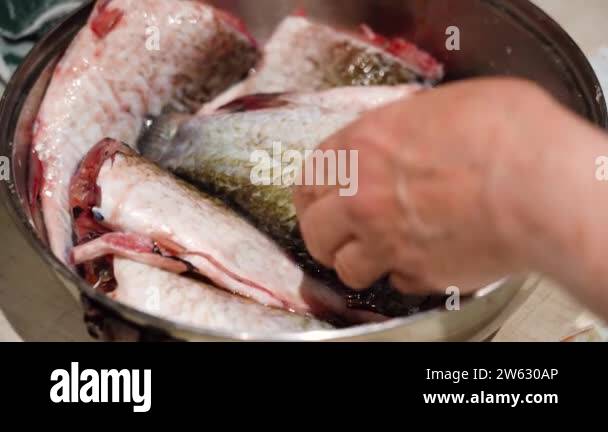 Remove scales of fish Stock Videos & Footage - HD and 4K Video Clips ...