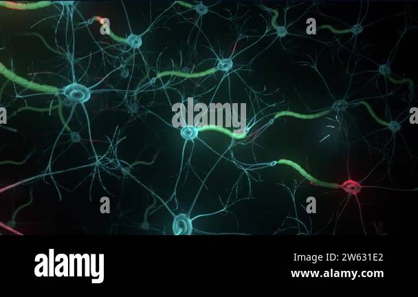 Electric Impulse,cell nucleus, Myelin sheath, dendrites, signal ...