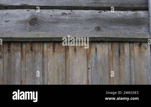 Log wall Stock Videos & Footage - HD and 4K Video Clips - Alamy