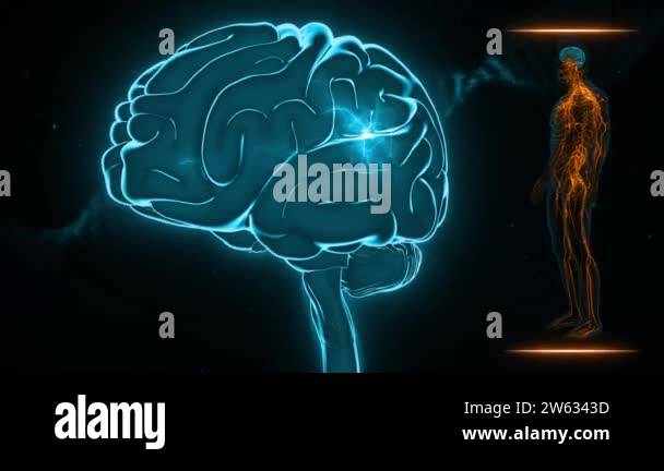 Body signals Stock Videos & Footage - HD and 4K Video Clips - Alamy