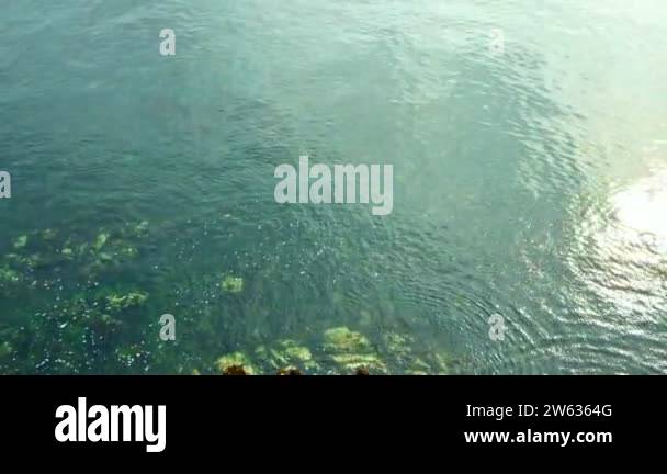 Ocean bay shore Stock Videos & Footage - HD and 4K Video Clips - Alamy