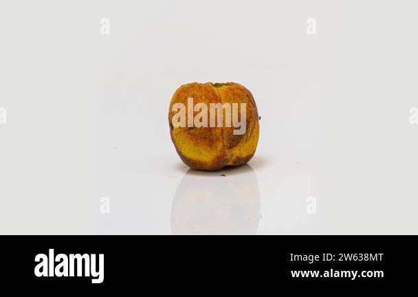 Time lapse of peach rotting on a white background, the process of ...
