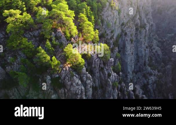 Dense magical forest at the canyon top, Huge spectacular cliff rocks ...