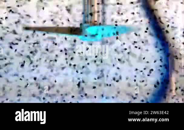 Oxygenation process Stock Videos & Footage - HD and 4K Video Clips - Alamy