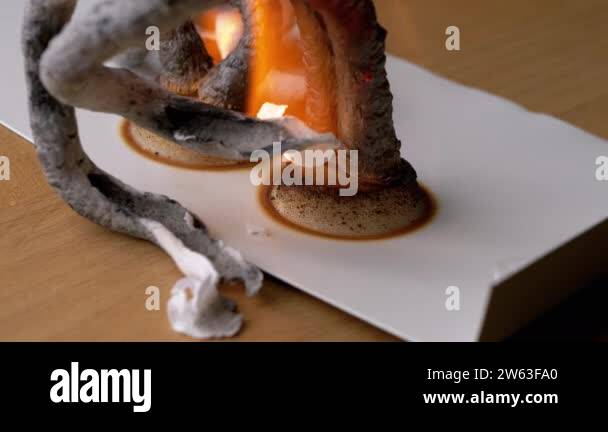 Pharaoh Snakes, Chemical Experiment with Calcium Gluconate Tablets, Dry ...