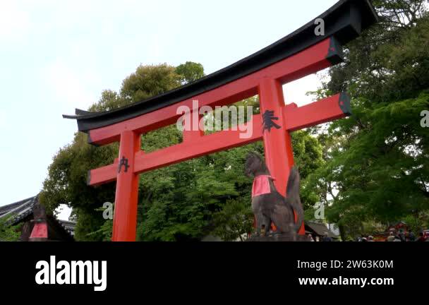 Fox temple kyoto Stock Videos & Footage - HD and 4K Video Clips - Alamy