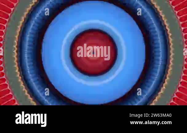 Rotating concentric circles target with psychedelic effect. Animation ...