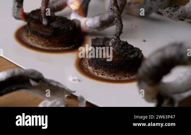 Pharaoh Snakes, Chemical Experiment with Calcium Gluconate Tablets, Dry ...