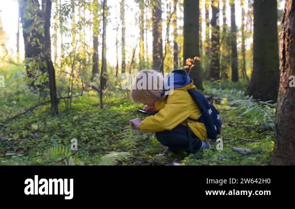 Cute schoolchild exploring nature with magnifying glass. Little boy ...