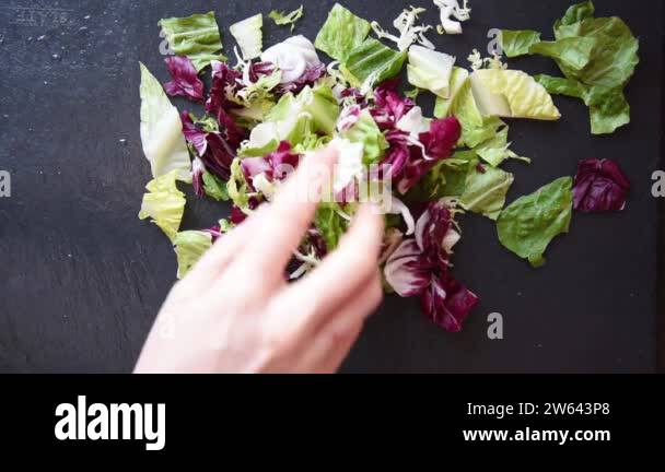 Cabbage colors Stock Videos & Footage - HD and 4K Video Clips - Alamy