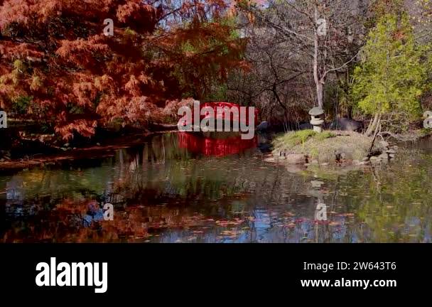 Small red bridge in Japanese garden in Michigan with fall foliage Stock ...
