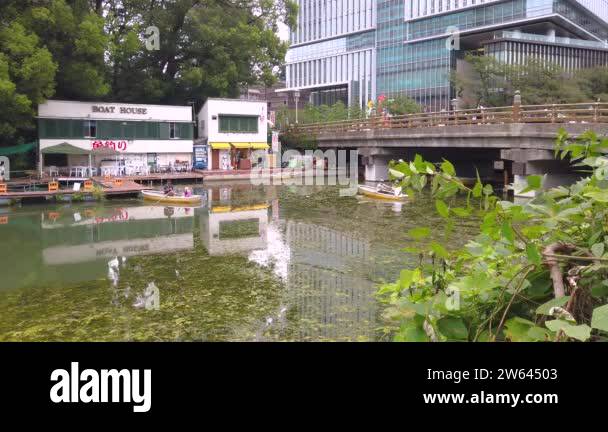 tokyo, japan - september 14 2019: Static video of people fishing at ...