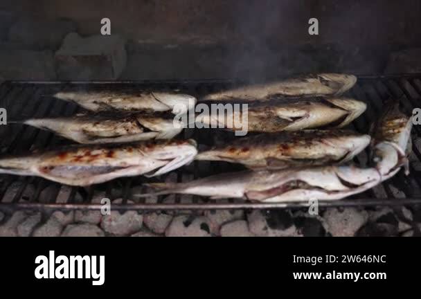 Lean protein fish Stock Videos & Footage - HD and 4K Video Clips - Alamy