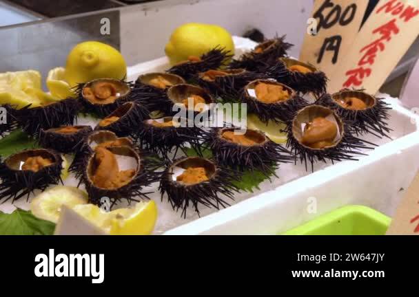 Sea urchins sashimi fresh open and ready to eat on ice in Kyoto fish ...