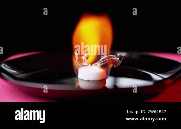 Pharaoh Snakes, Chemical Experiment with Calcium Gluconate Tablets, Dry ...