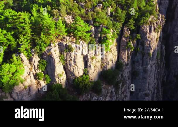 Dense magical forest at the canyon top, Huge spectacular cliff rocks ...