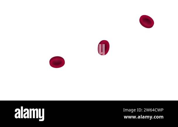 Cells cartoon Stock Videos & Footage - HD and 4K Video Clips - Alamy