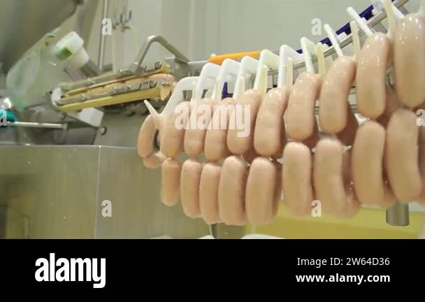 Sausage factory Stock Videos & Footage - HD and 4K Video Clips - Alamy