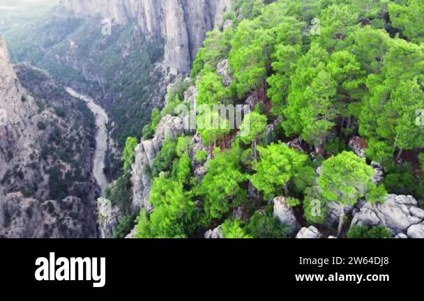 Dense magical forest at the canyon top, Huge spectacular cliff rocks ...