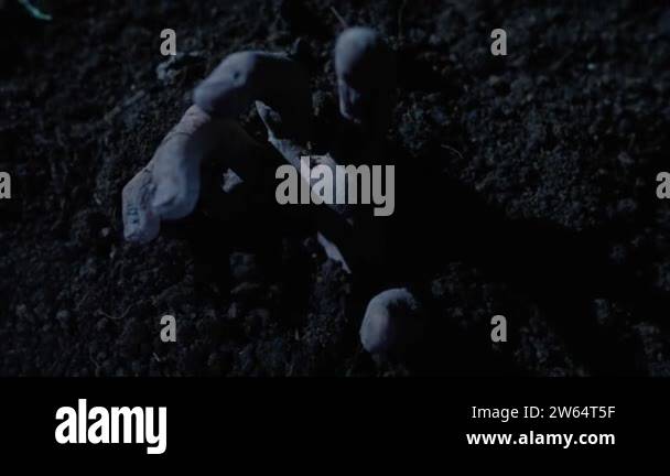 Dead life Stock Videos & Footage - HD and 4K Video Clips - Alamy