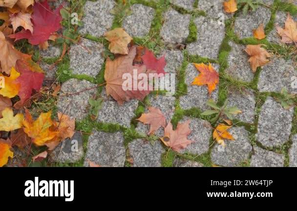 Fallen bricks on the street Stock Videos & Footage - HD and 4K Video ...