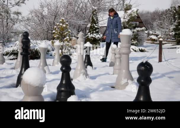 Chess board with big figures in garden Stock Videos & Footage - HD and ...