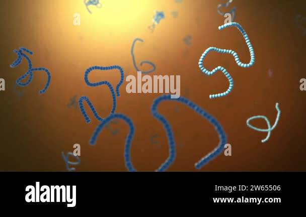 Cellular biology structure cell Stock Videos & Footage - HD and 4K ...