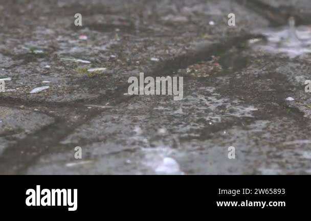 Puddle on stone cobbled path and rain water drop fall on it. 4K Stock ...