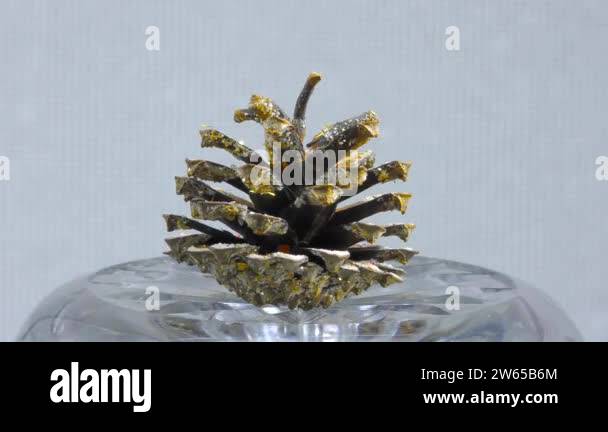 Raised surface Stock Videos & Footage - HD and 4K Video Clips - Alamy