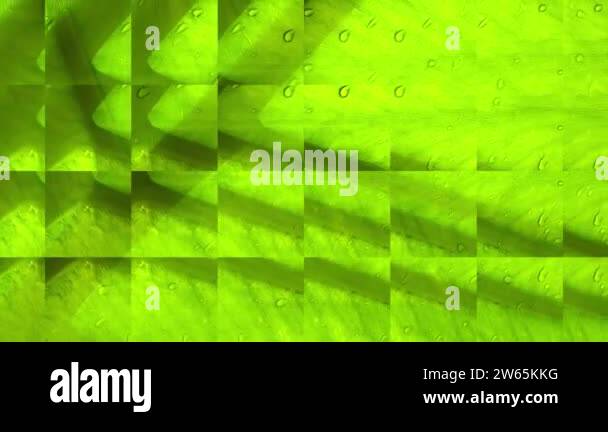 Green video background Stock Videos & Footage - HD and 4K Video Clips ...