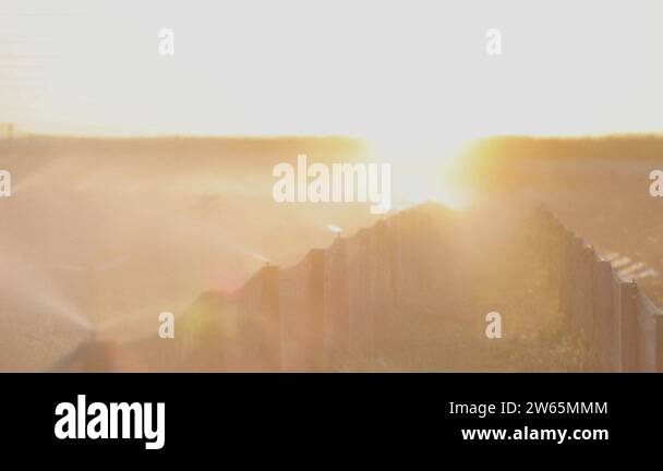 Watering process on a snail farm. Irrigation of snails with water on ...
