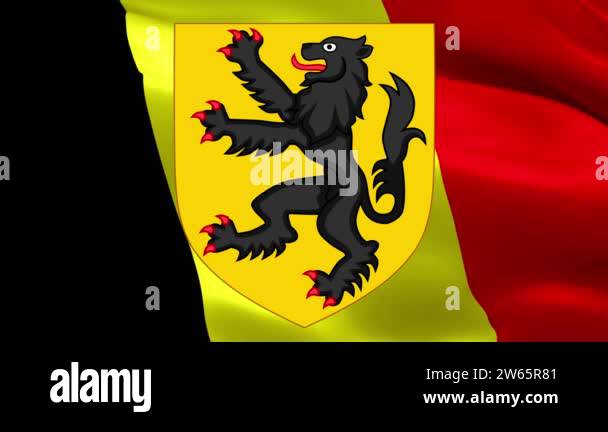 Flemish region flag in Belgium. 3d Belgium Flemish Dutch Community flag ...