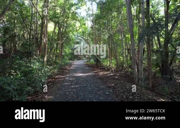 Accessible nature reserve Stock Videos & Footage - HD and 4K Video ...