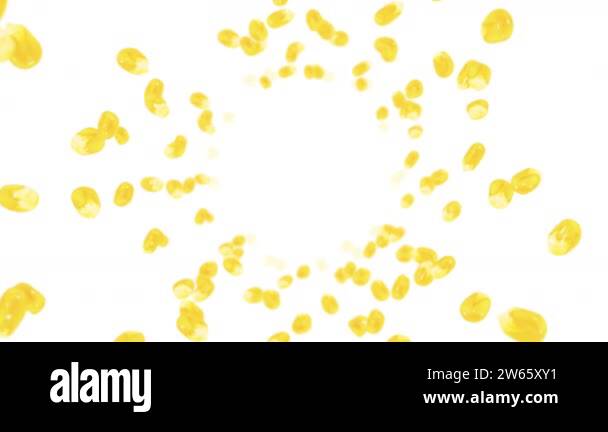 Flying many corn grains on white background. Yellow sweet corn seeds ...