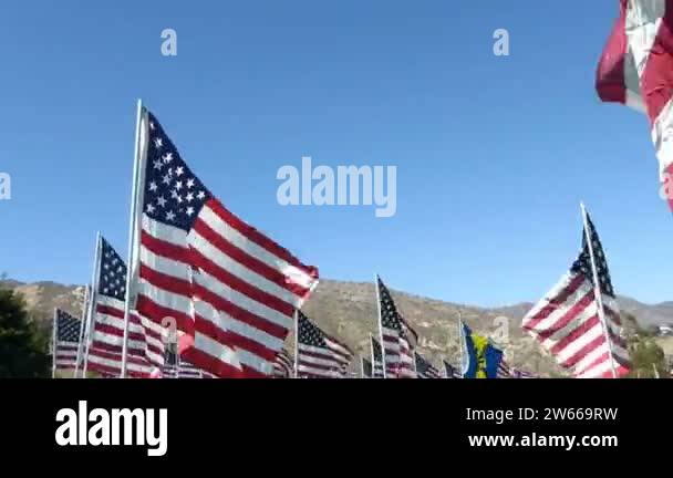 Stabilized Walkthrough Hundreds of American Flags (Part #3 Stock Video ...