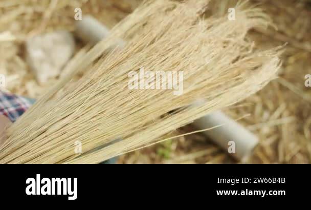 Natural broom Stock Videos & Footage - HD and 4K Video Clips - Alamy
