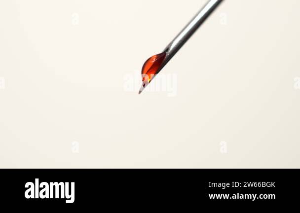 Drops of blood from the tip of the medical syringe. Bloody liquid ...