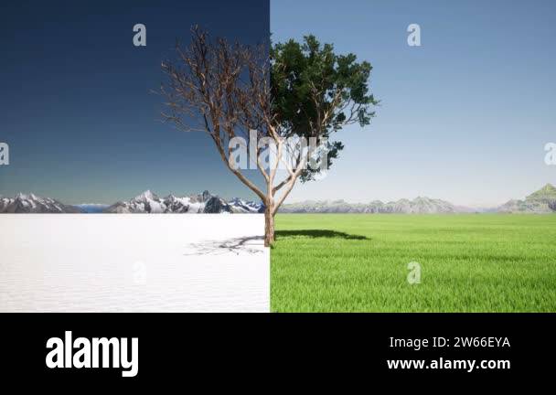 Summer fall comparison Stock Videos & Footage - HD and 4K Video Clips ...