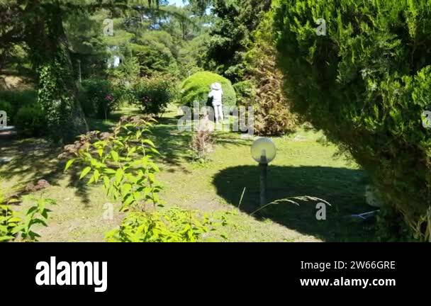 Large round hedge Stock Videos & Footage - HD and 4K Video Clips - Alamy