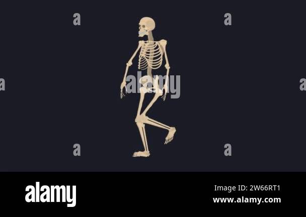 Skeleton cartoon Stock Videos & Footage - HD and 4K Video Clips - Alamy