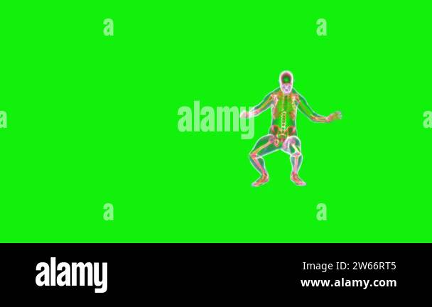 Athlete Capoeira Performer, Seamless Loop, Green Screen Chromakey, x ...