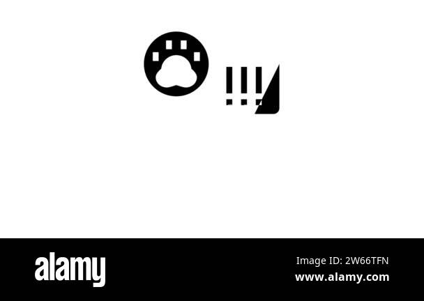 Cream testing on animal Stock Videos & Footage - HD and 4K Video Clips ...