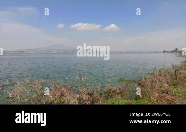 Zumpango lagoon, water moving by the wind with vegetation on the shore ...