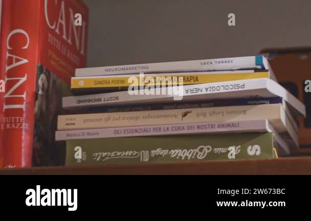 Collection objects shelf Stock Videos & Footage - HD and 4K Video Clips ...