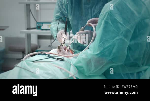 The doctor performs a pediatric surgical operation to remove the ...